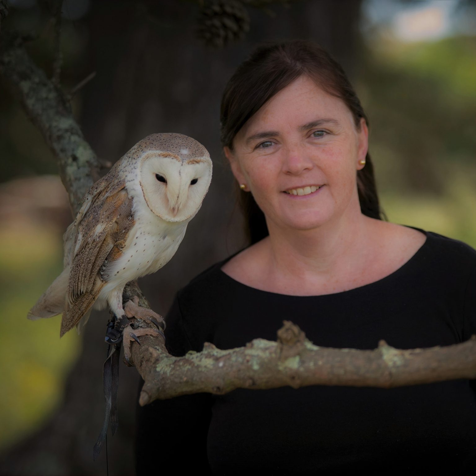 Handy Girl Australia – Outstanding services of a talented and empowered ...